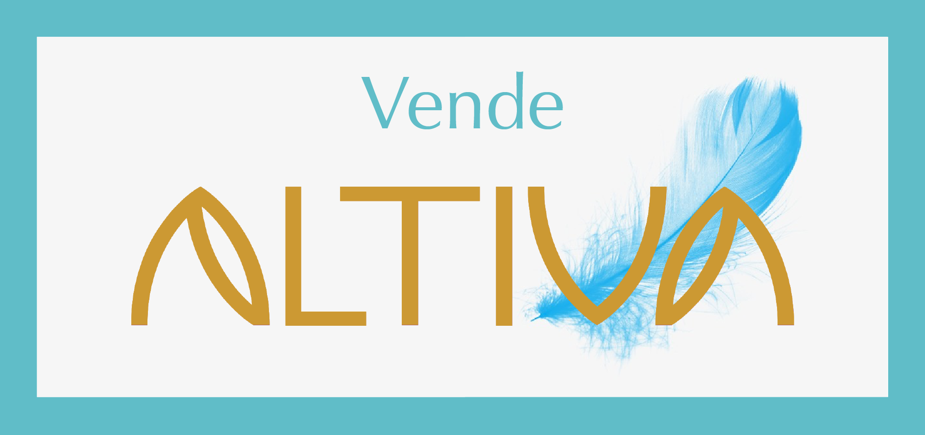 mini banner-01 - Altiva